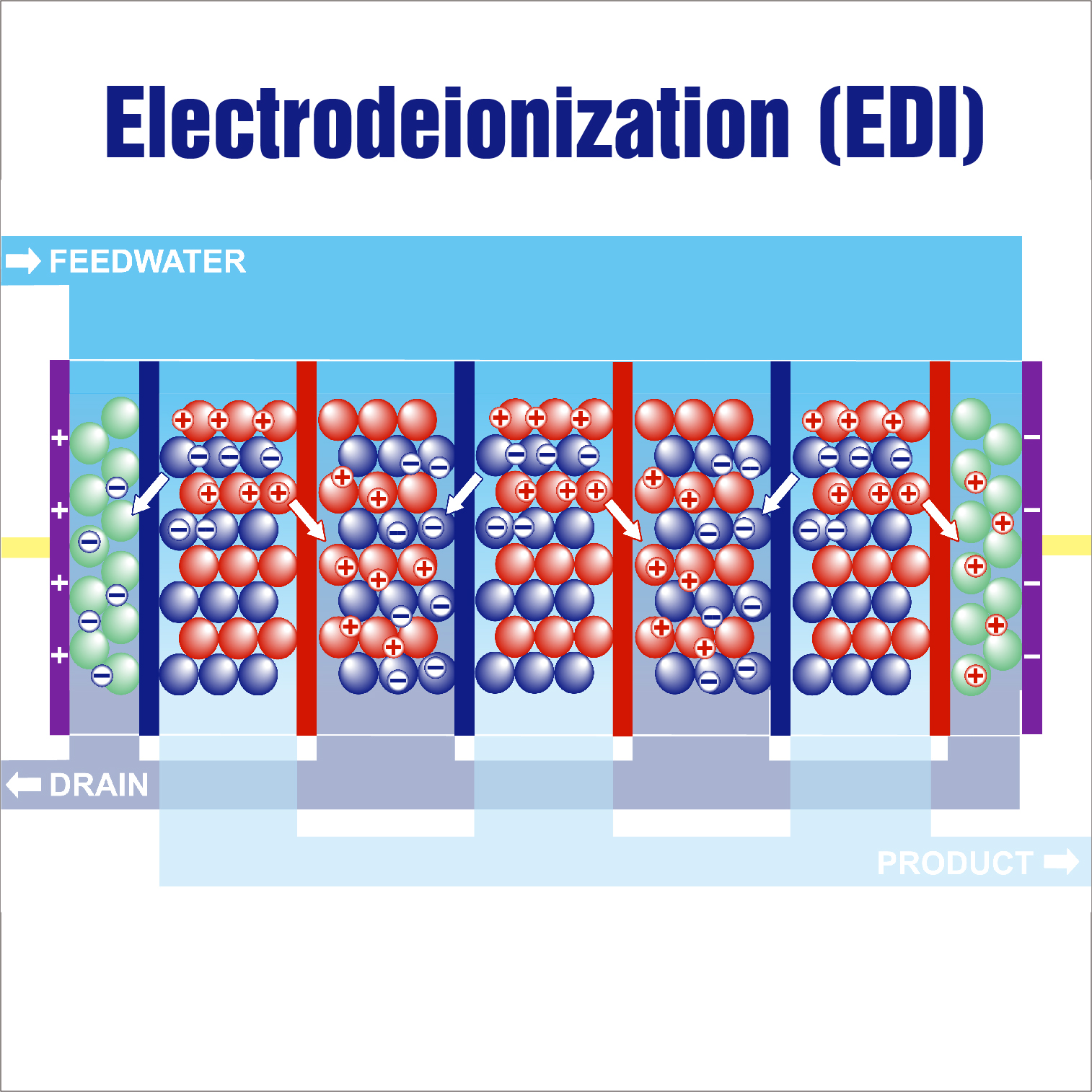 What is eletrodeionization? How does EDI work? - RephiLe Bioscience ...